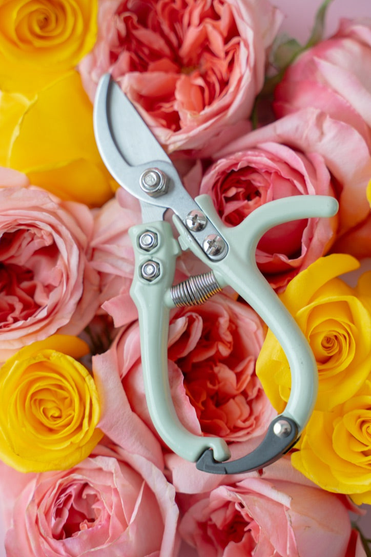 Silicone Flower Arranging Grid for Vase | Blossom Grid